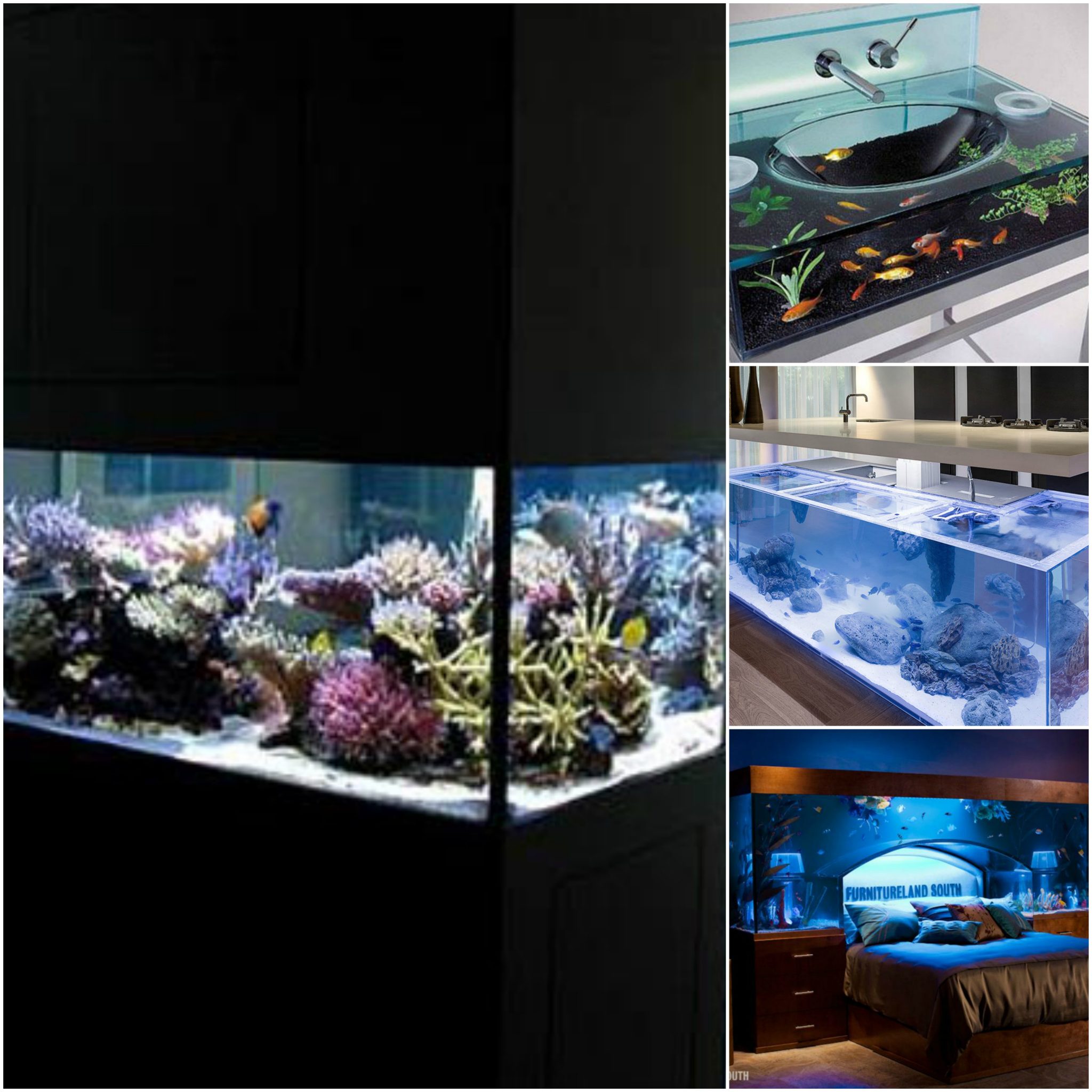 Pet-Inspired Home Customizations - PetsBlogs