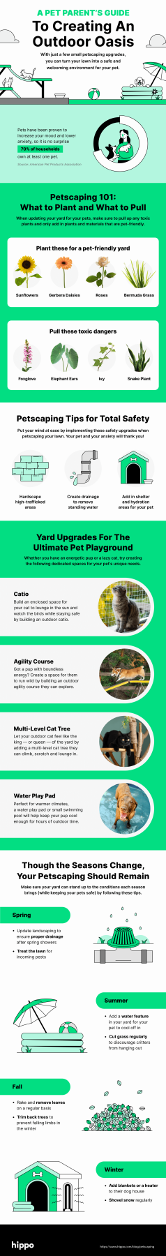 Creating the Perfect Pet Oasis Right in Your Backyard - PetsBlogs