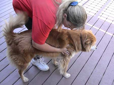How to Help a Choking Dog - PetsBlogs
